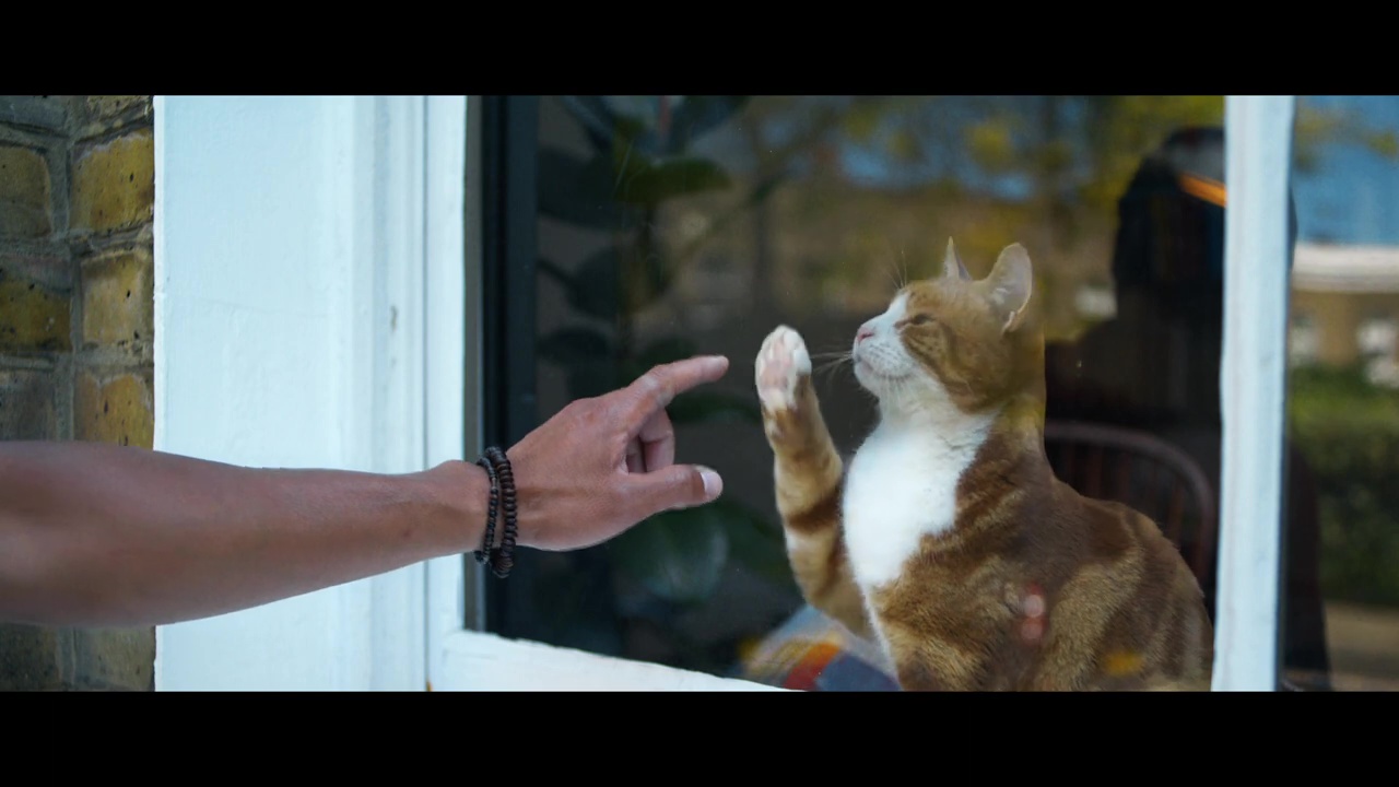 Poetic Spot From AMV BBDO and Director Tom Green Puts Holiday Mail "In Good Hands" | SHOOTonline