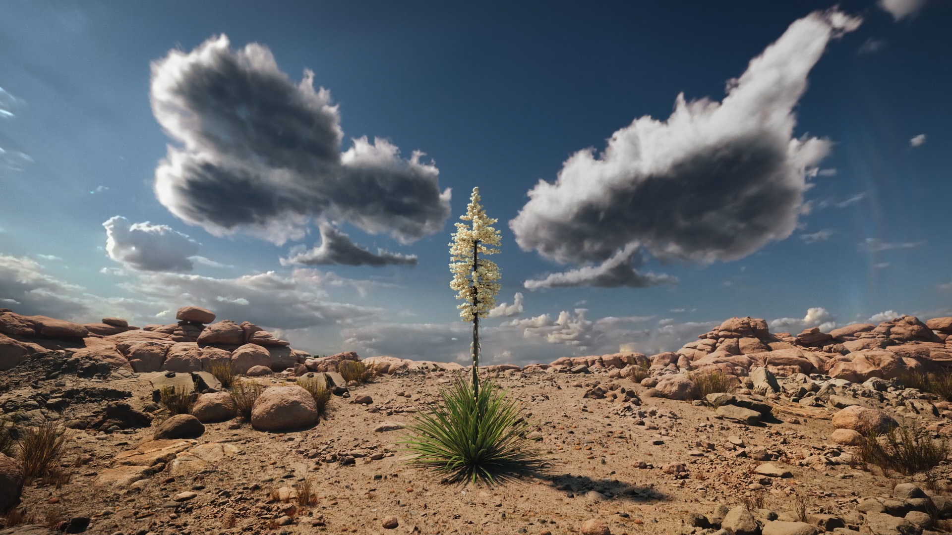 Haymaker VFX Explores The “Nature of Discovery” For Yaamava Resort ...