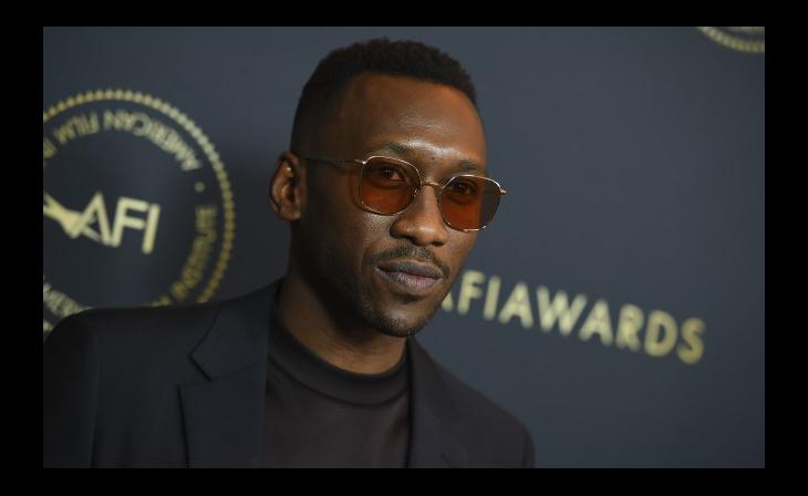 Stars Come Out For AFI Awards | SHOOTonline