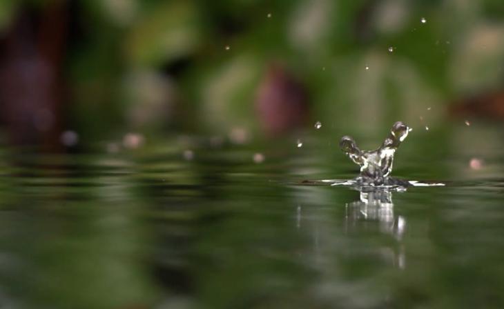 Wondros Director Sean Thonson Explores The Heart Of Maine In New Poland ...