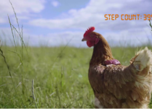 Honest Eggs Co.'s "Fitchix" Tops Ambient & Activation Category With ...